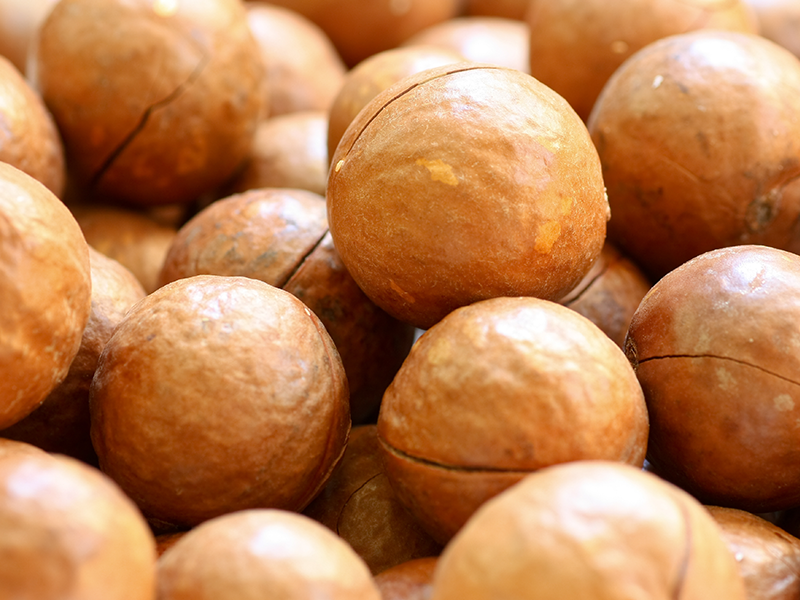 RFM Macadamias - Inspection Systems