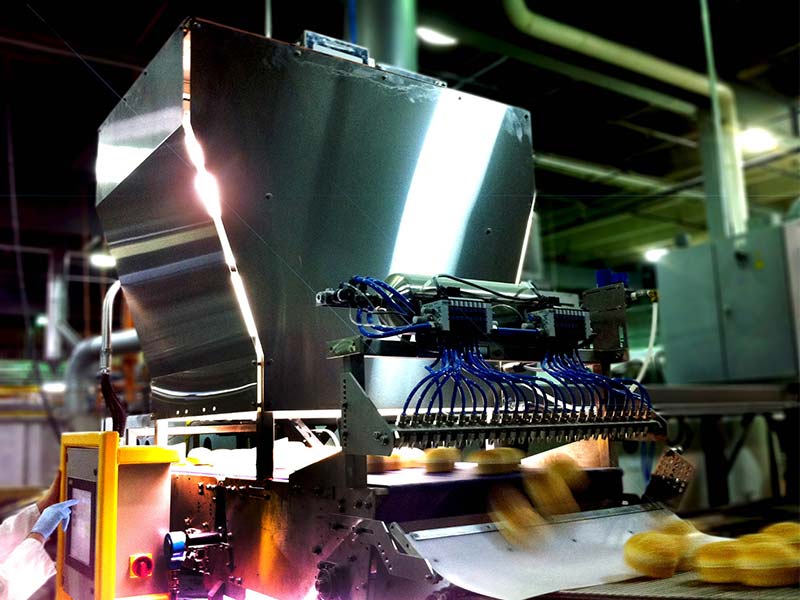 In-Line Vision & Rejection System | Australia, New Zealand